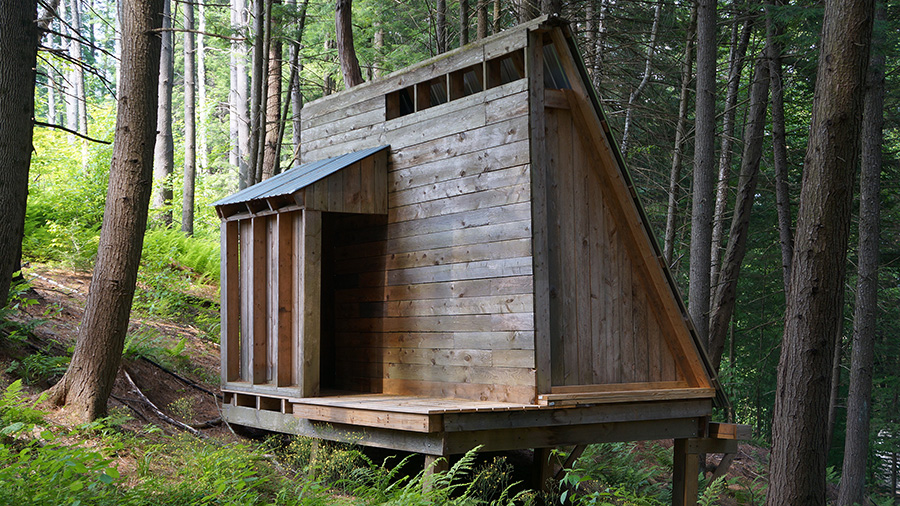 Ed Levine - Harpo Foundation